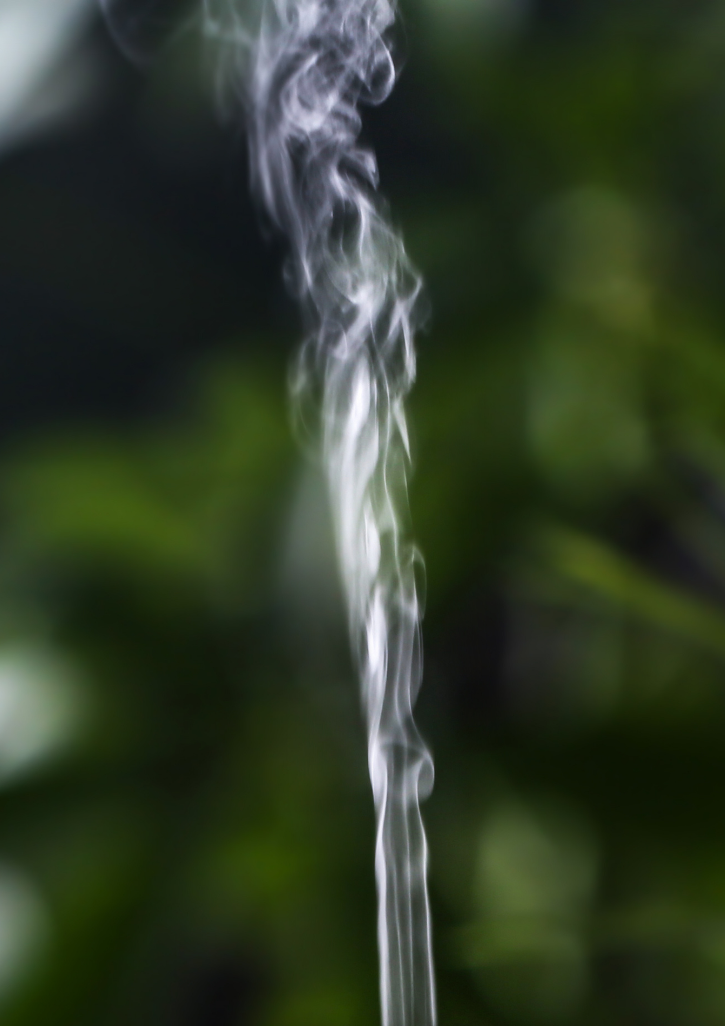 Essential Oil Diffuser | Atomising Diffuser | Oils of Nature