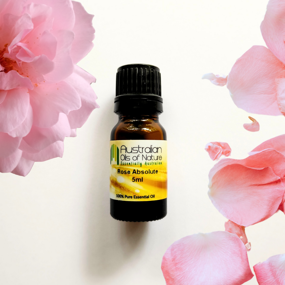 Rose (Centifolia) Absolute | Australian Oils Of Nature