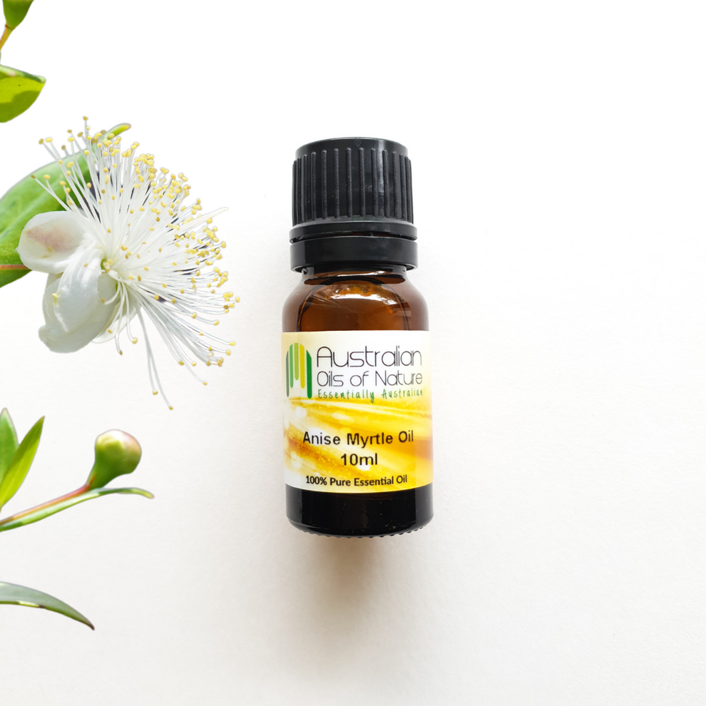 Anise Myrtle Essential Oil | Australian Oils Of Nature
